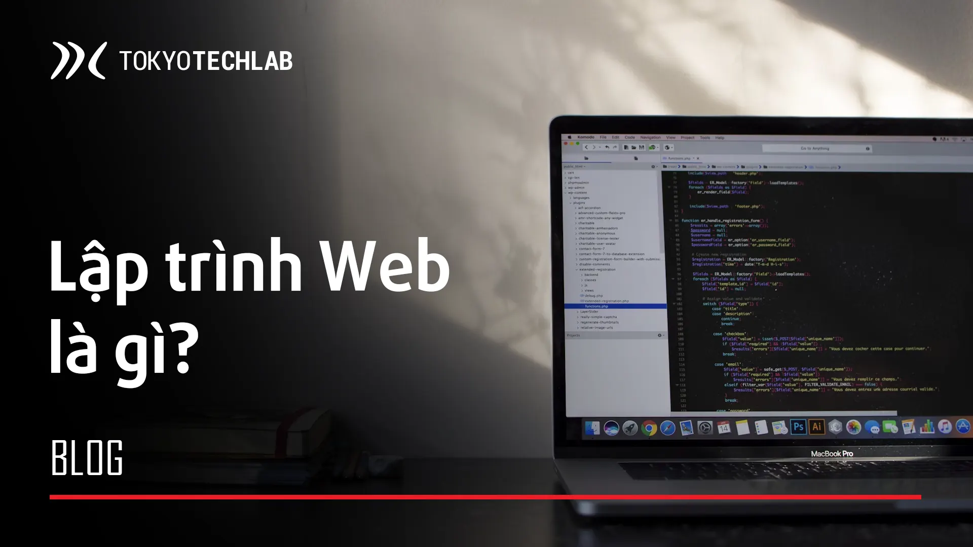 Lập trình Web là gì? Những ngôn ngữ lập trình Web phổ biến